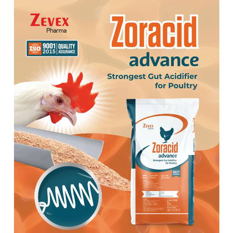 Zevex Pharma - All Products